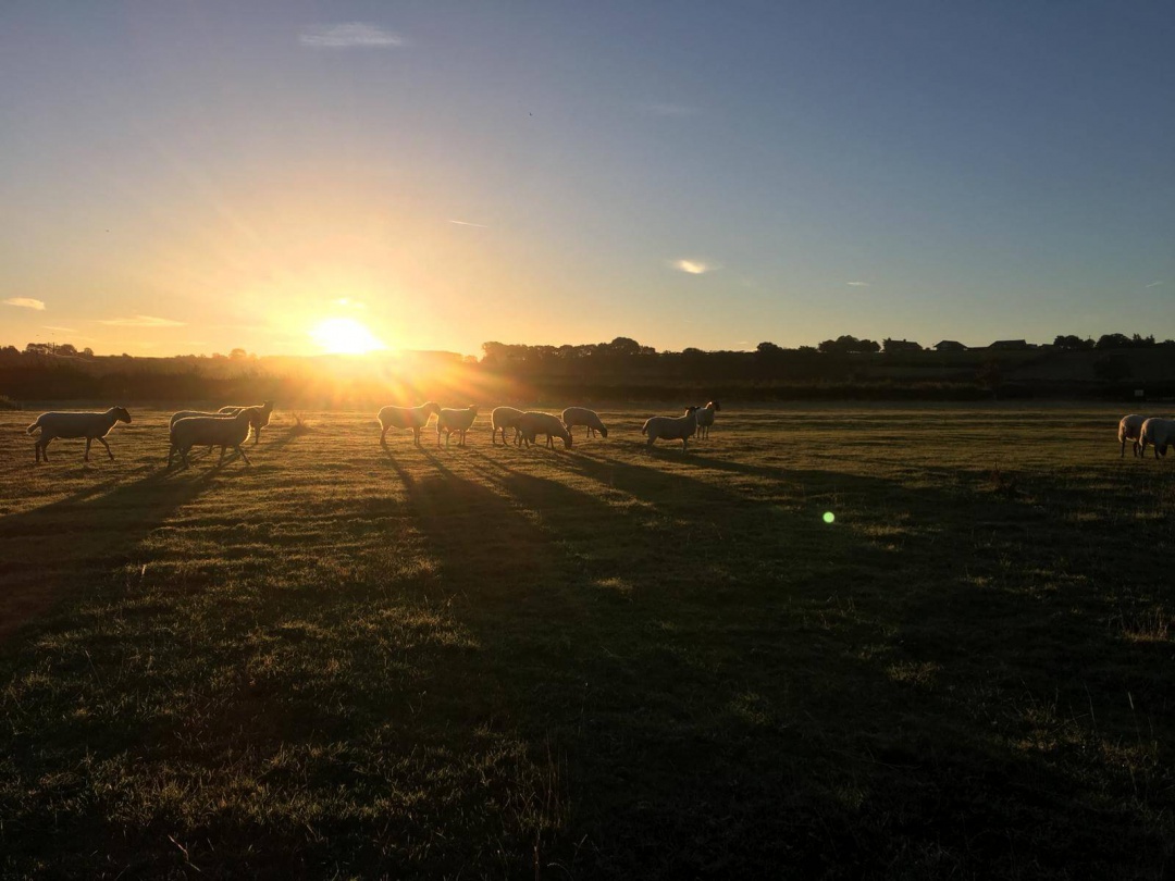 The Gallery | Harbury Fields Farm Caravan Park, Warwickshire